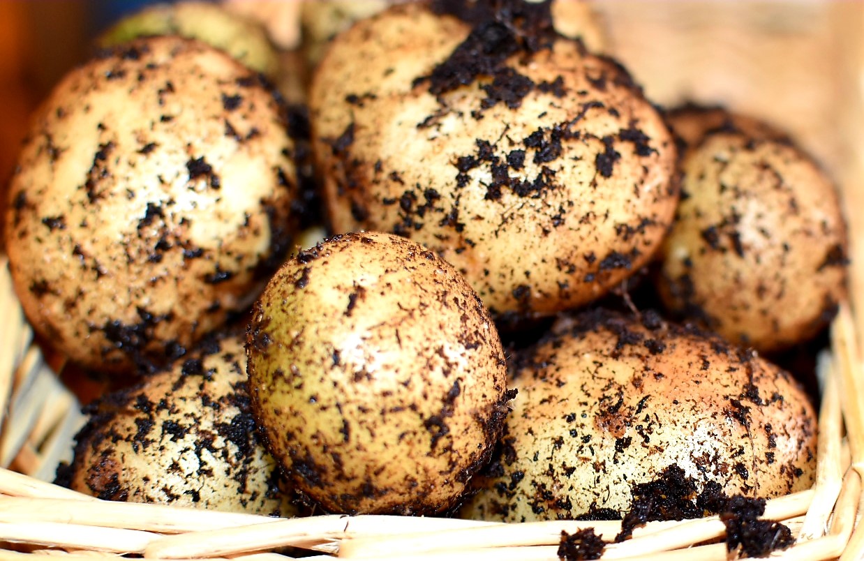 Gallagher's Potatoes 5kg - Gallagher's Butchers Castlefinn